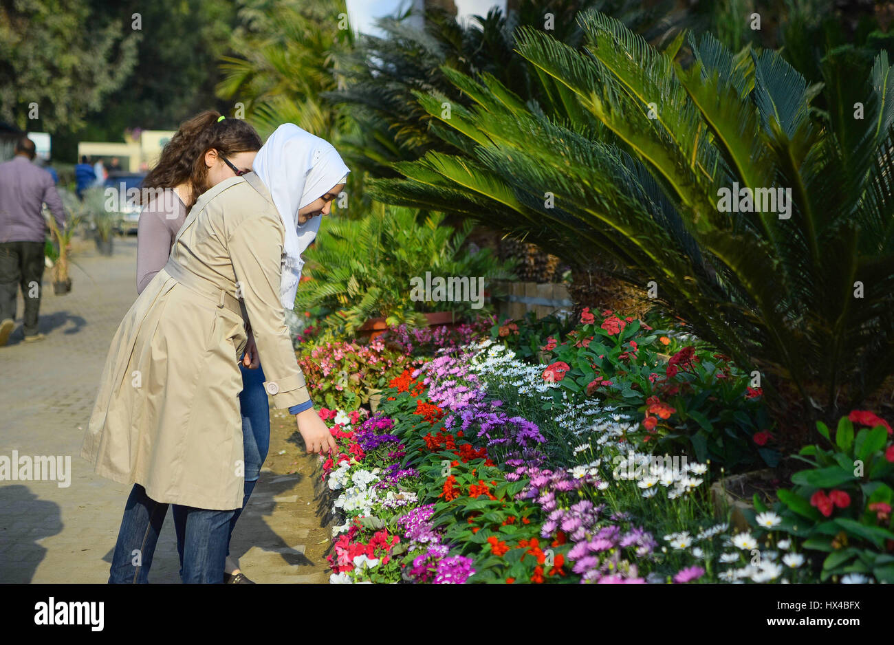 Orman garden hi-res stock photography and images - Alamy