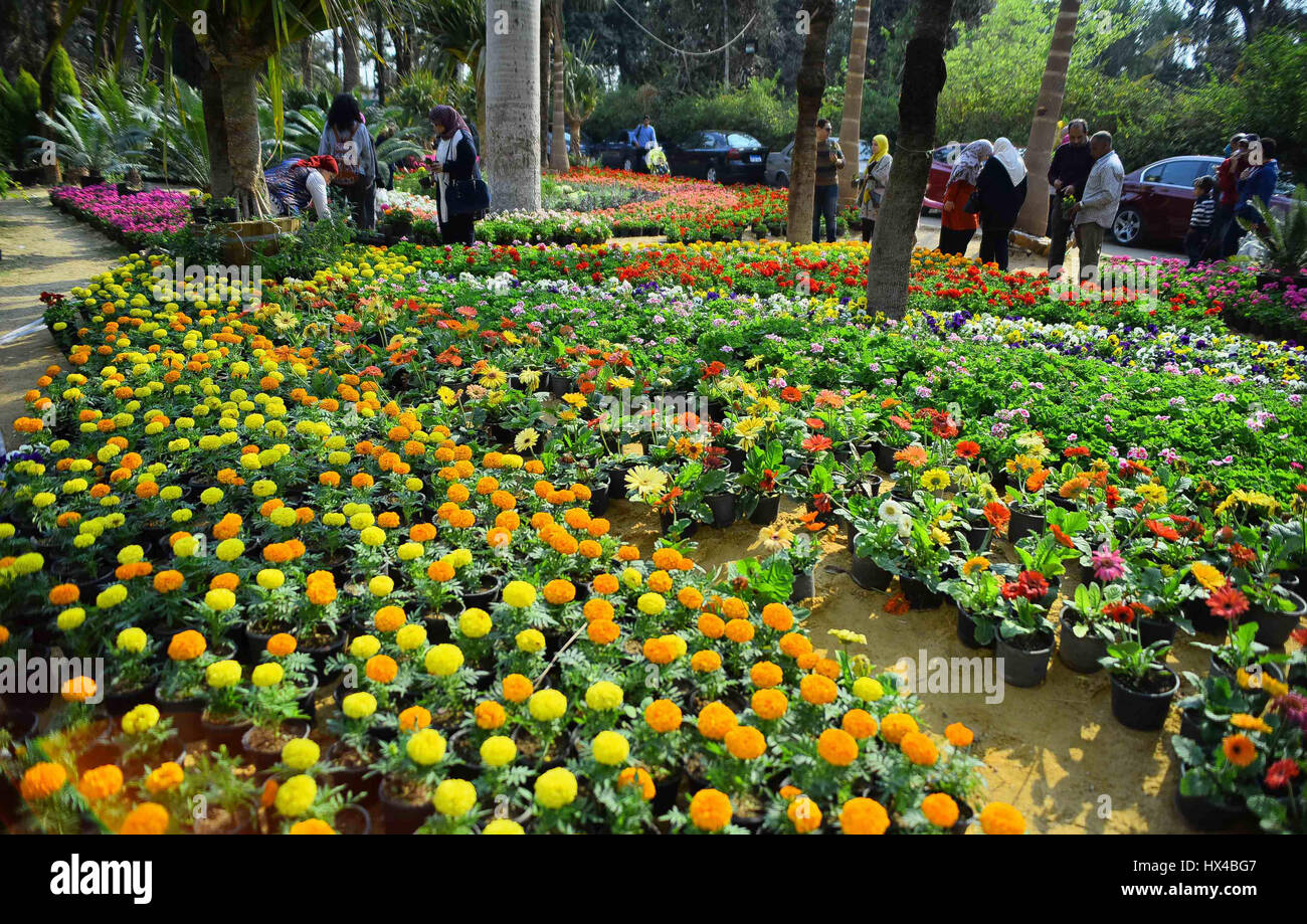 Orman garden hi-res stock photography and images - Alamy