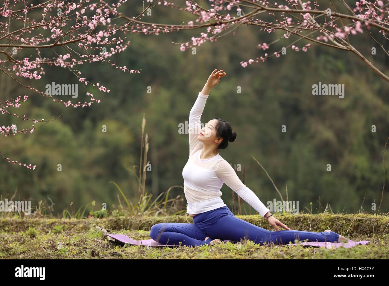 Zhangjiajie, China's Hunan Province. 25th Mar, 2017. Yoga fans practise ...