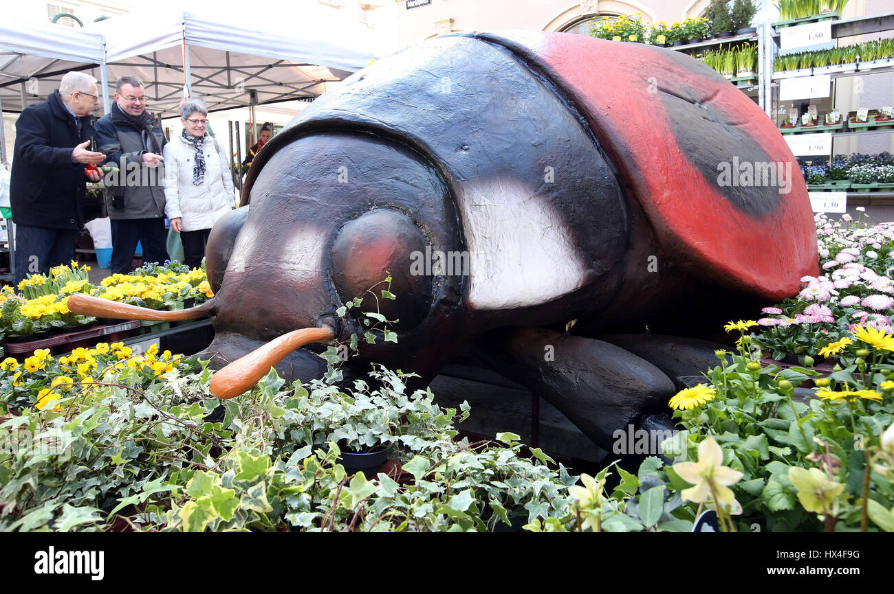Reutlingen, Germany. 25th Mar, 2017. An oversized model of a ladybug is ...