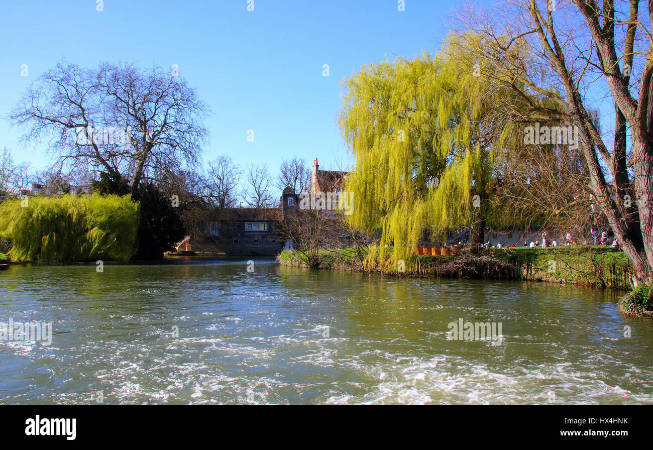 Cambridge, UK. 25th Mar, 2017. Beautiful Spring Sunshine brings out ...