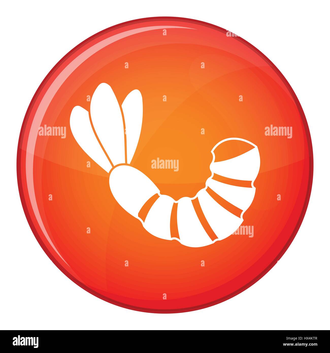 Shelled shrimp Stock Vector Images - Alamy