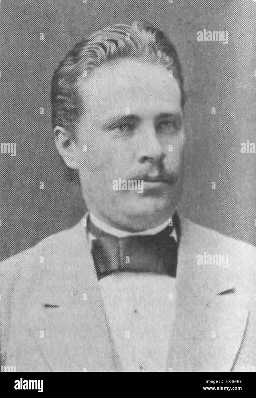 Cygnaeus gallery hi-res stock photography and images - Alamy