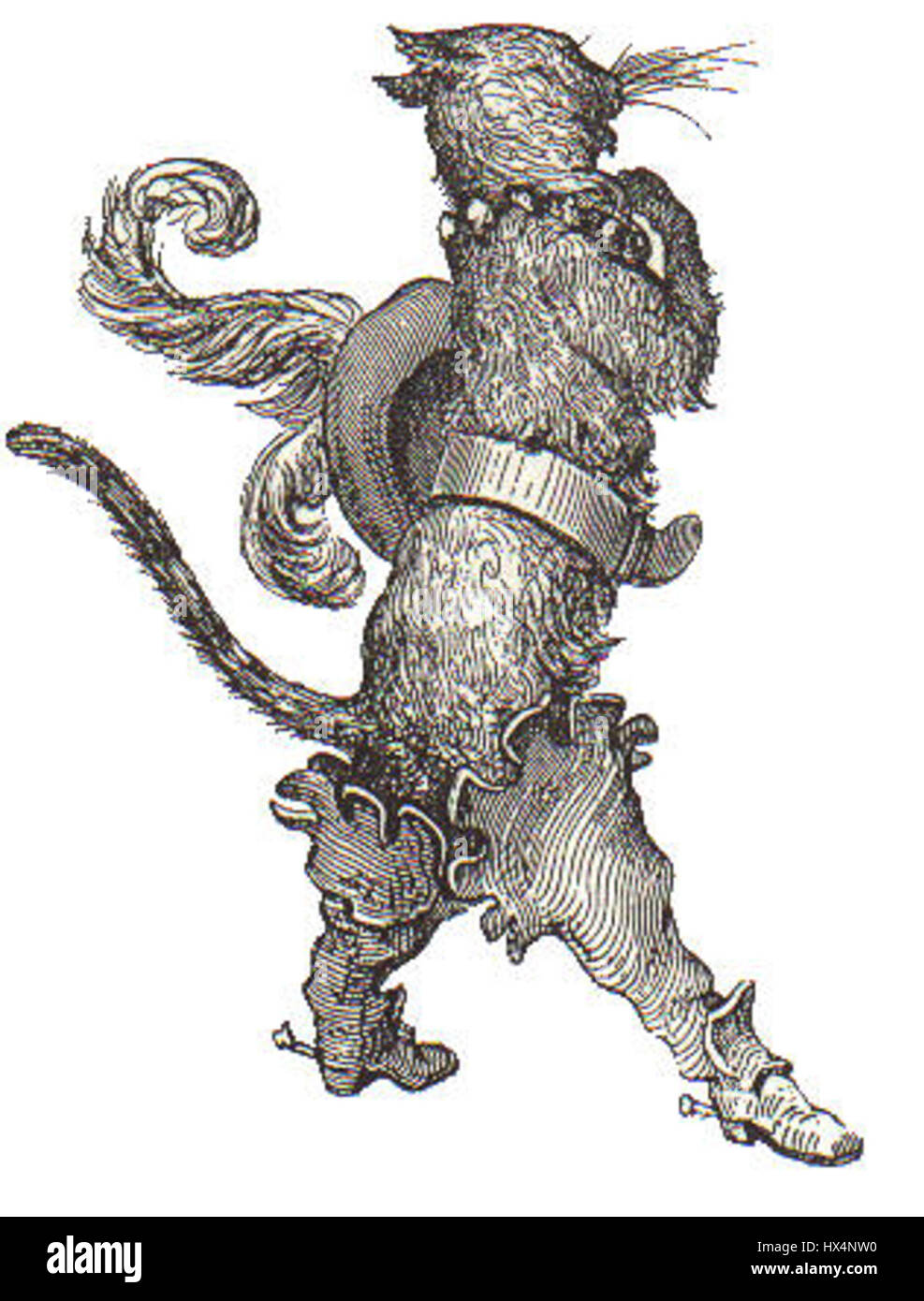 Gustave Dore Le Chat Botte High Resolution Stock Photography and Images ...