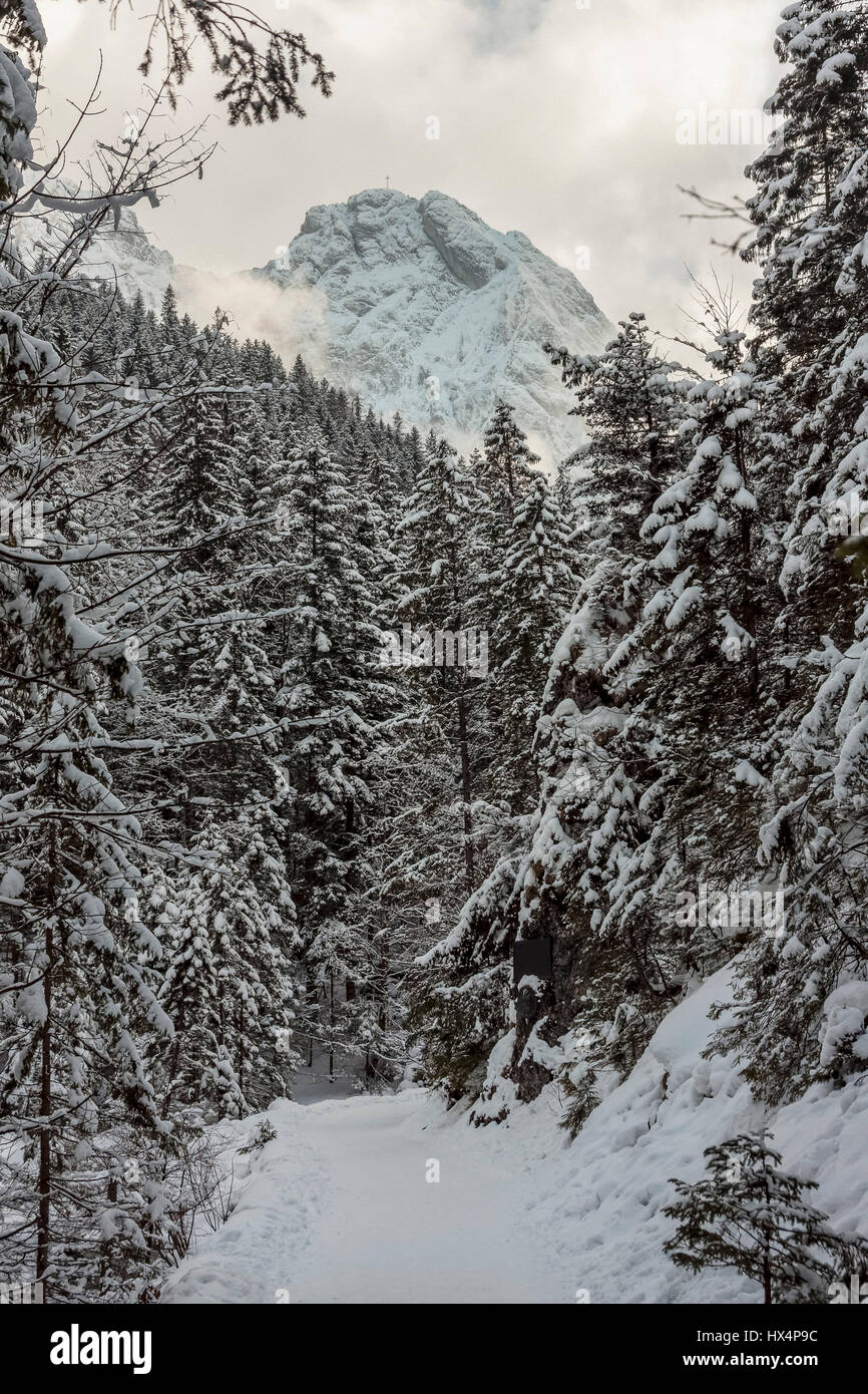 Mount Giewont seen from Koscieliska Valley near Zakopane, Poland Stock ...
