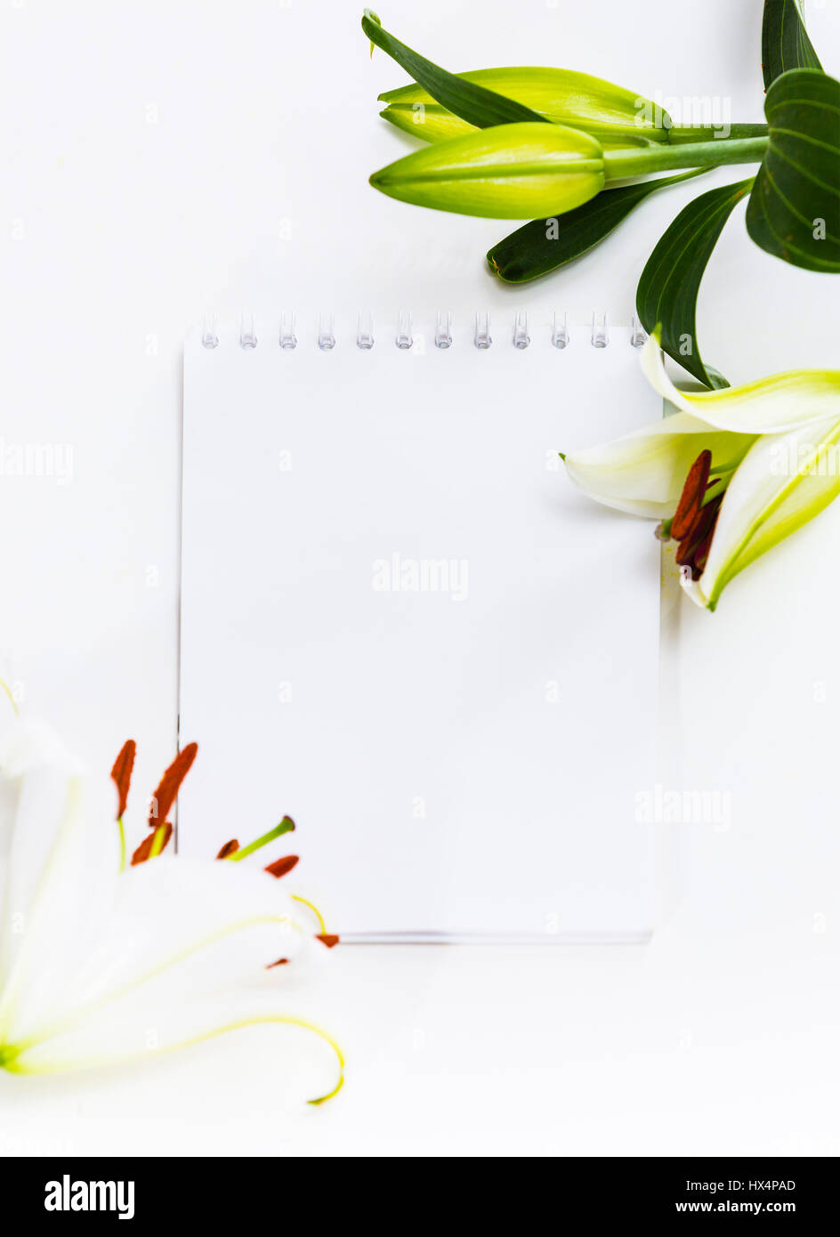 Bouquet of flowers lily empty paper sheet Stock Photo - Alamy