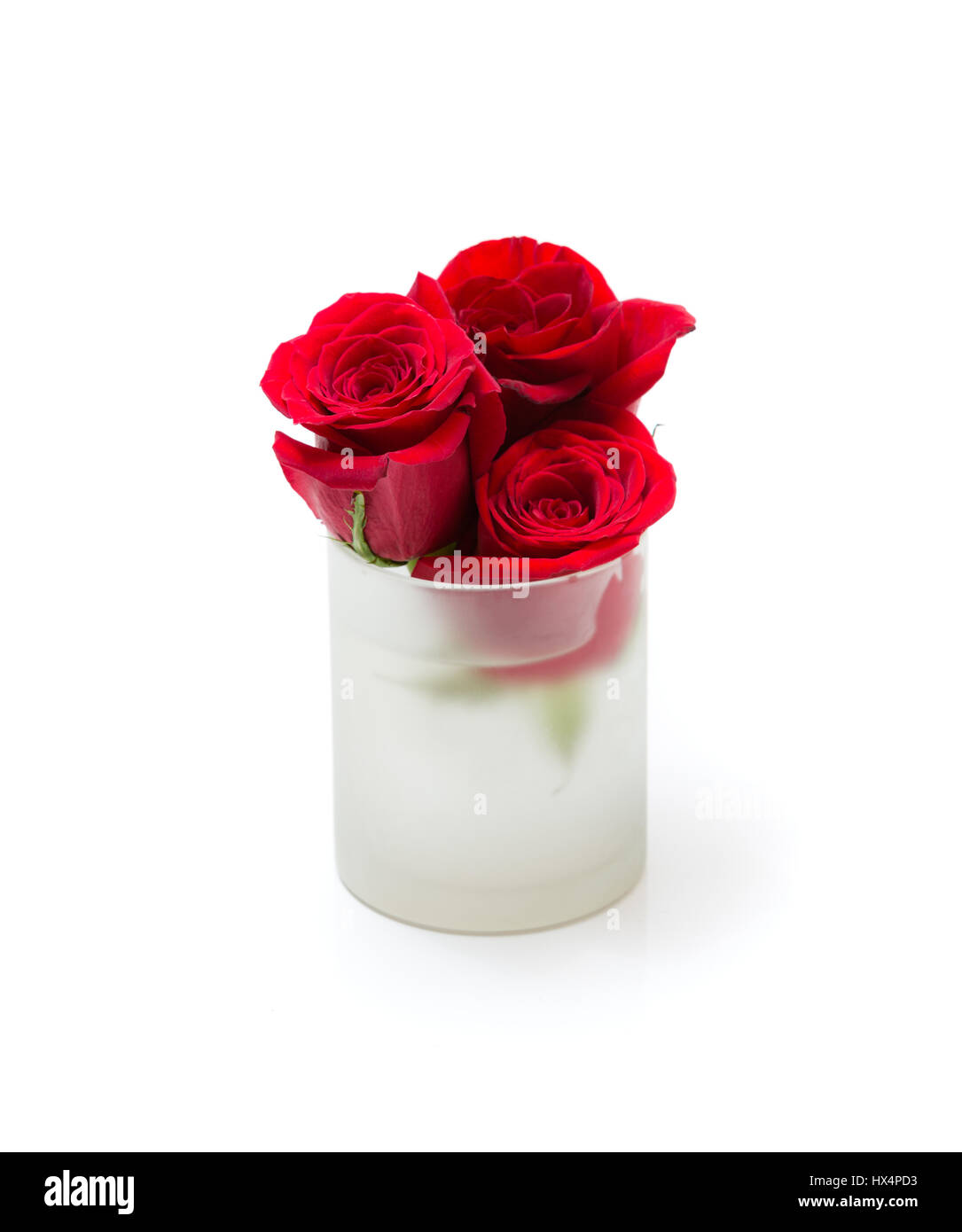 Cup and red roses in petals isolated on white Stock Photo - Alamy
