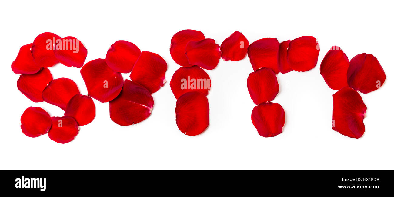 Word Sorry of rose petals isolated on white Stock Photo - Alamy