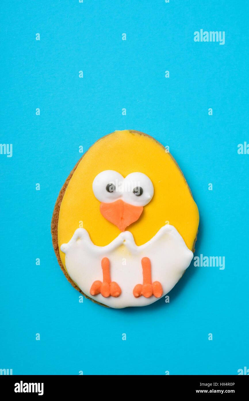 closeup of a cookie decorated as a yellow chick emerging from a cracked ...