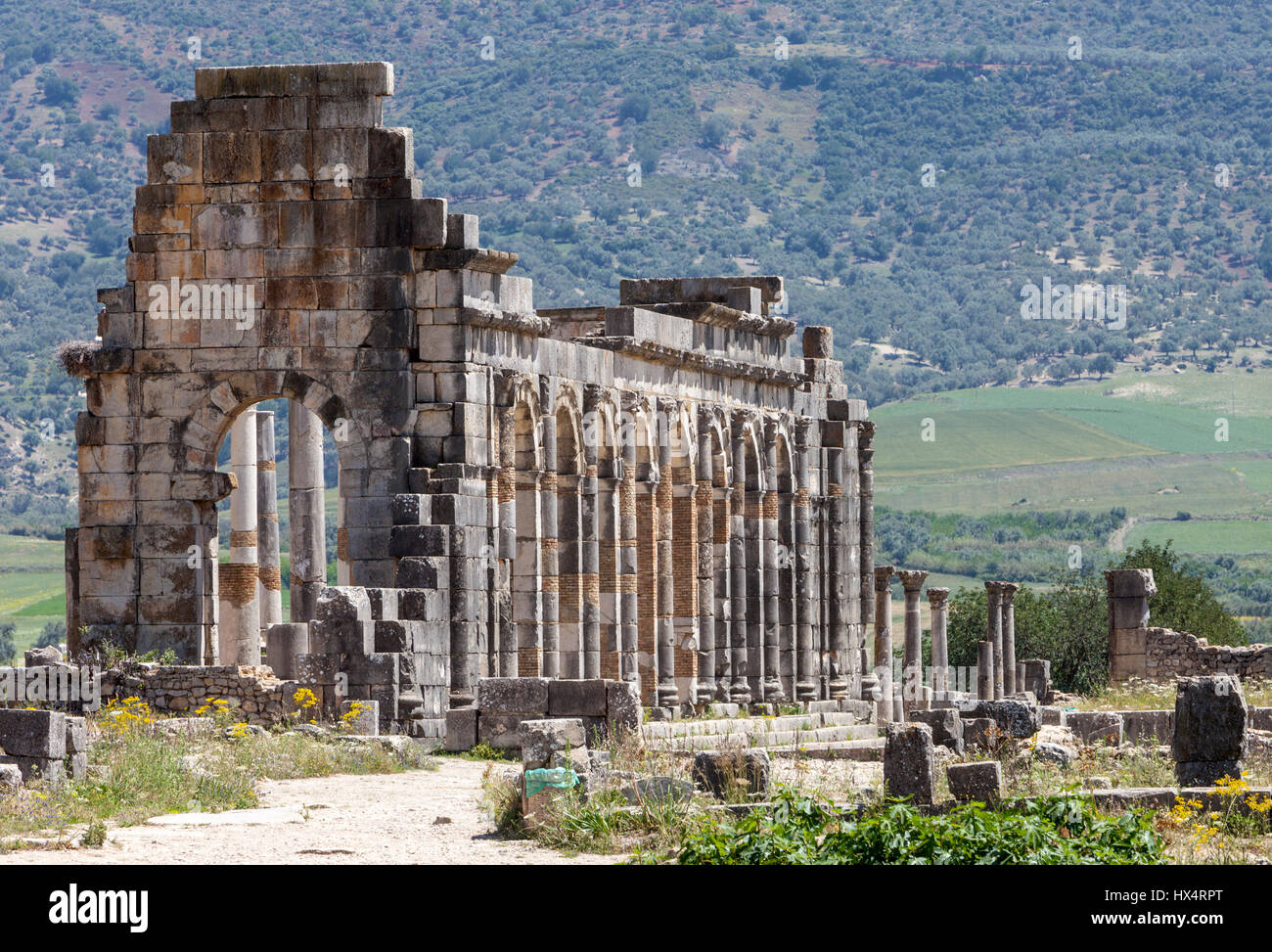 Volubilis, Morocco. The Basilica, 3rd. Century Stock Photo - Alamy