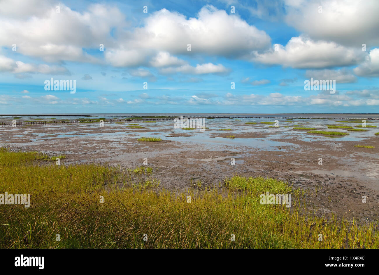 Danish wadden sea national park Stock Photo - Alamy