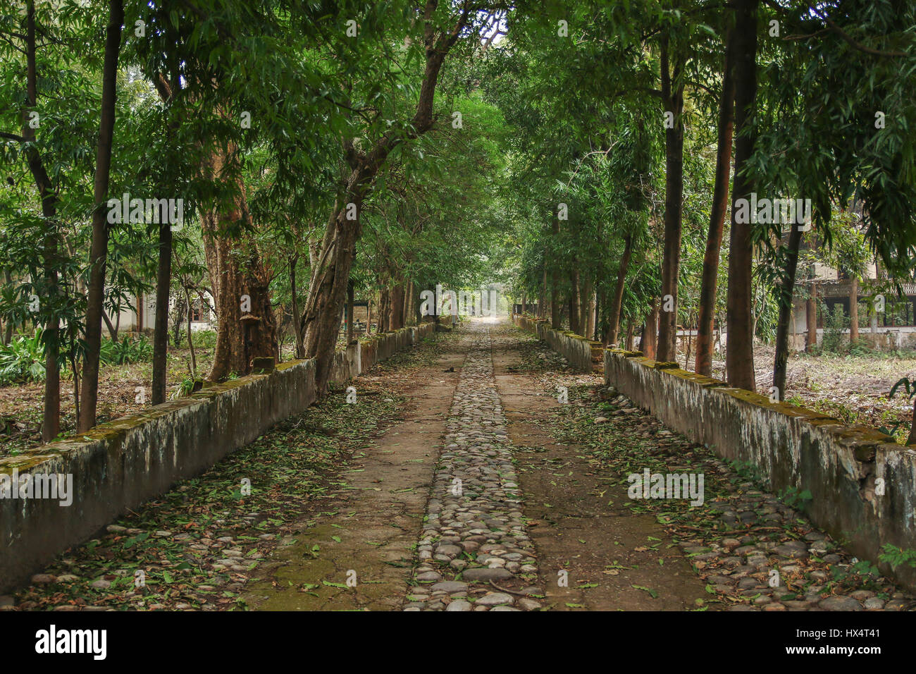 Old temple rishikesh india hi-res stock photography and images - Alamy