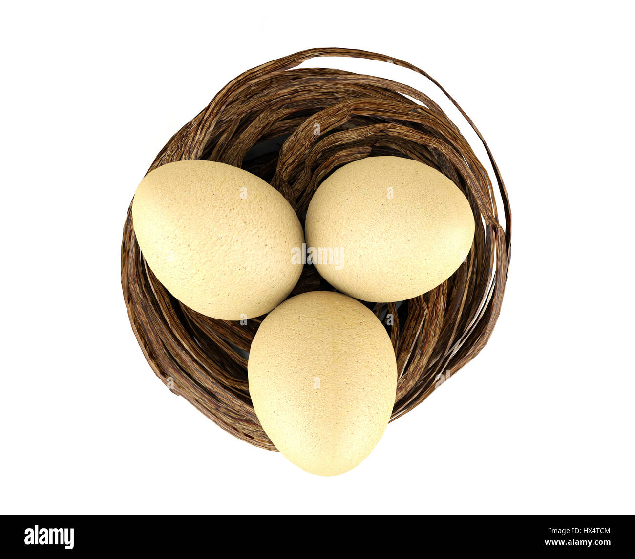 Eggs in nest Stock Photo - Alamy