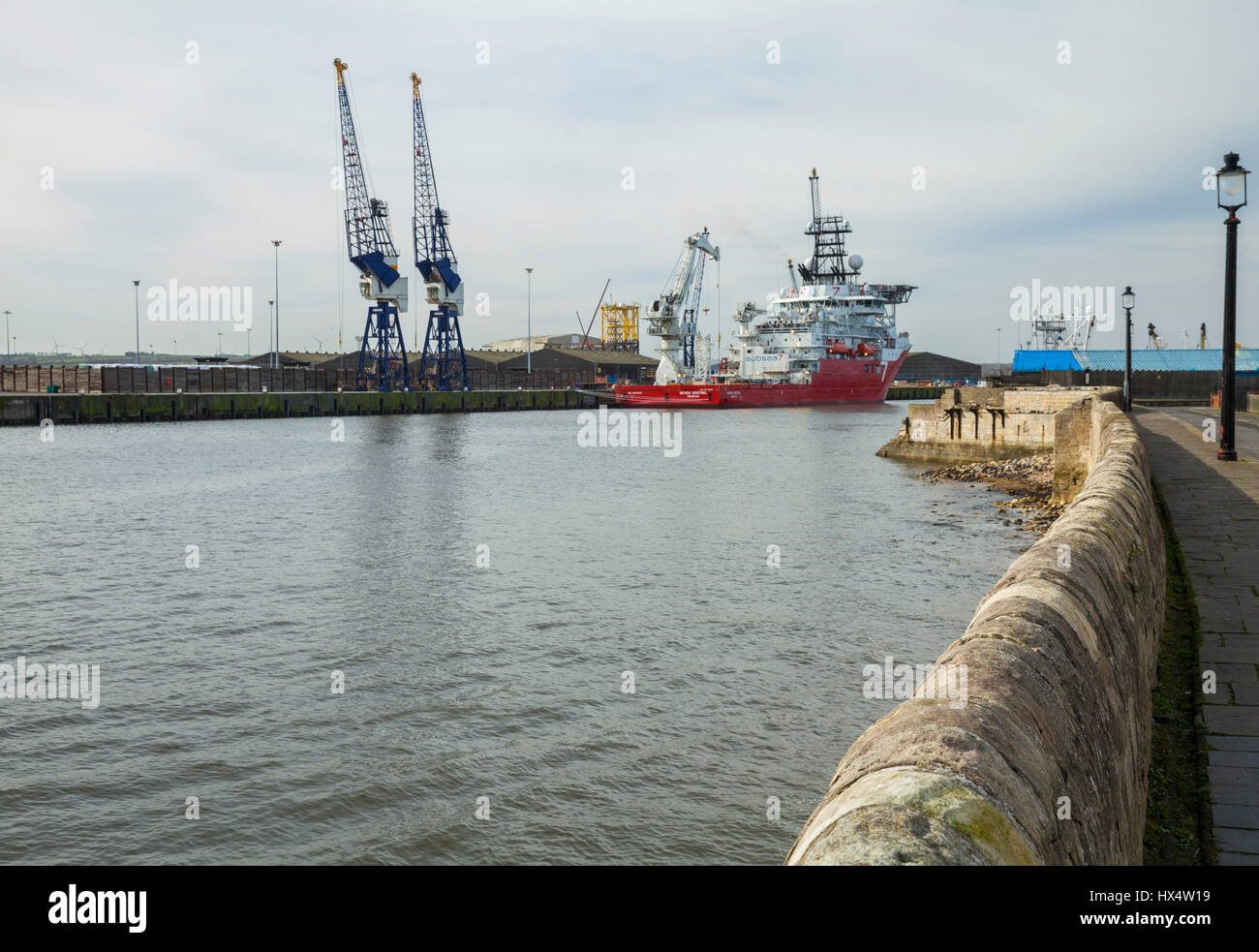 Seven kestrel hi-res stock photography and images - Alamy