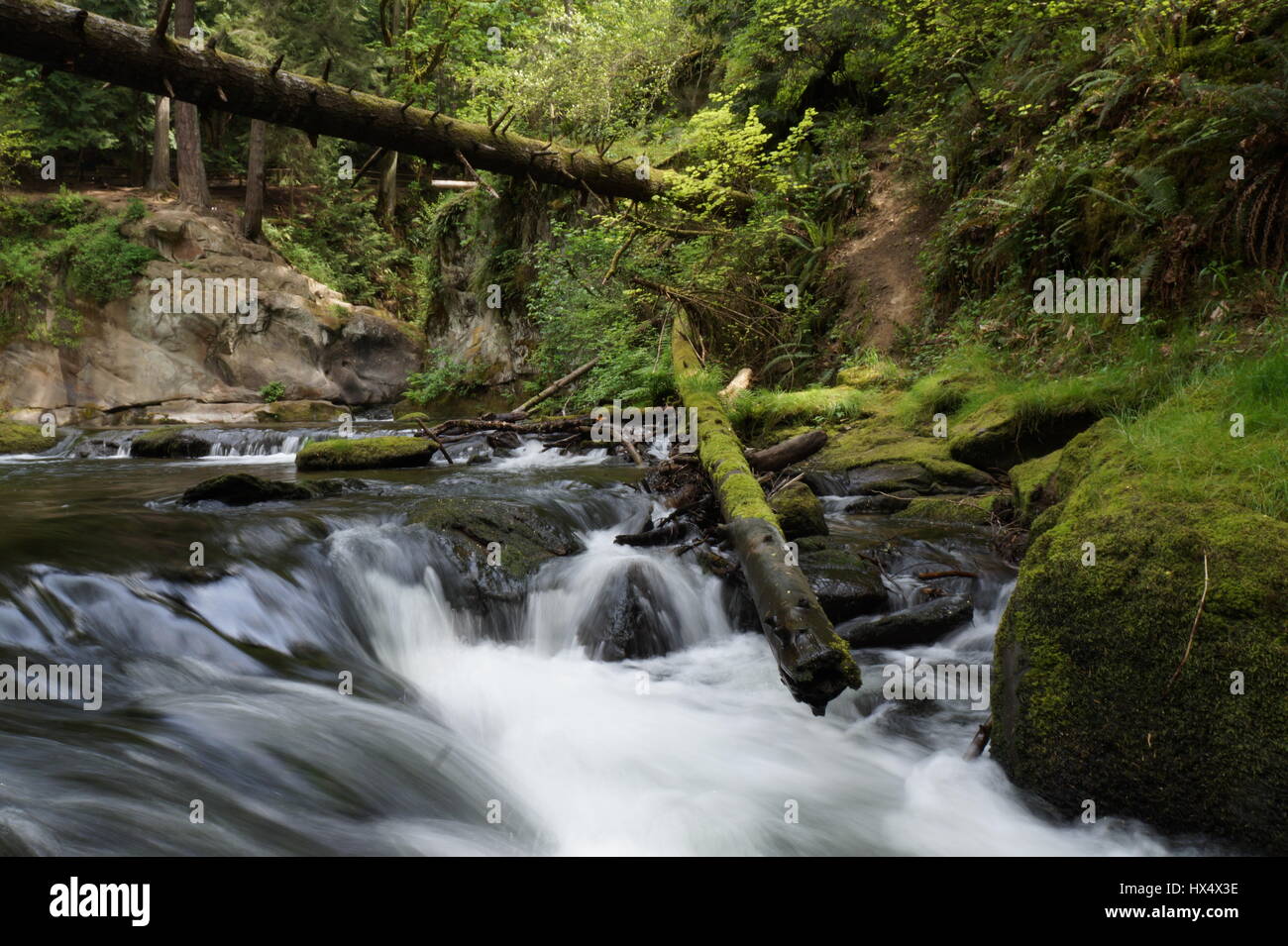 Exploring Washington State, The Great Pacific Northwest Stock Photo - Alamy