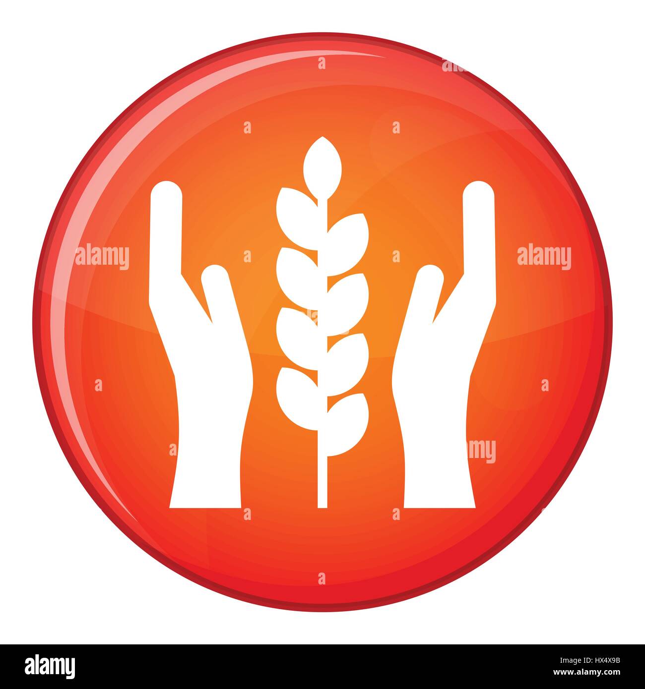 Hands and ear of wheat icon, flat style Stock Vector Image & Art - Alamy