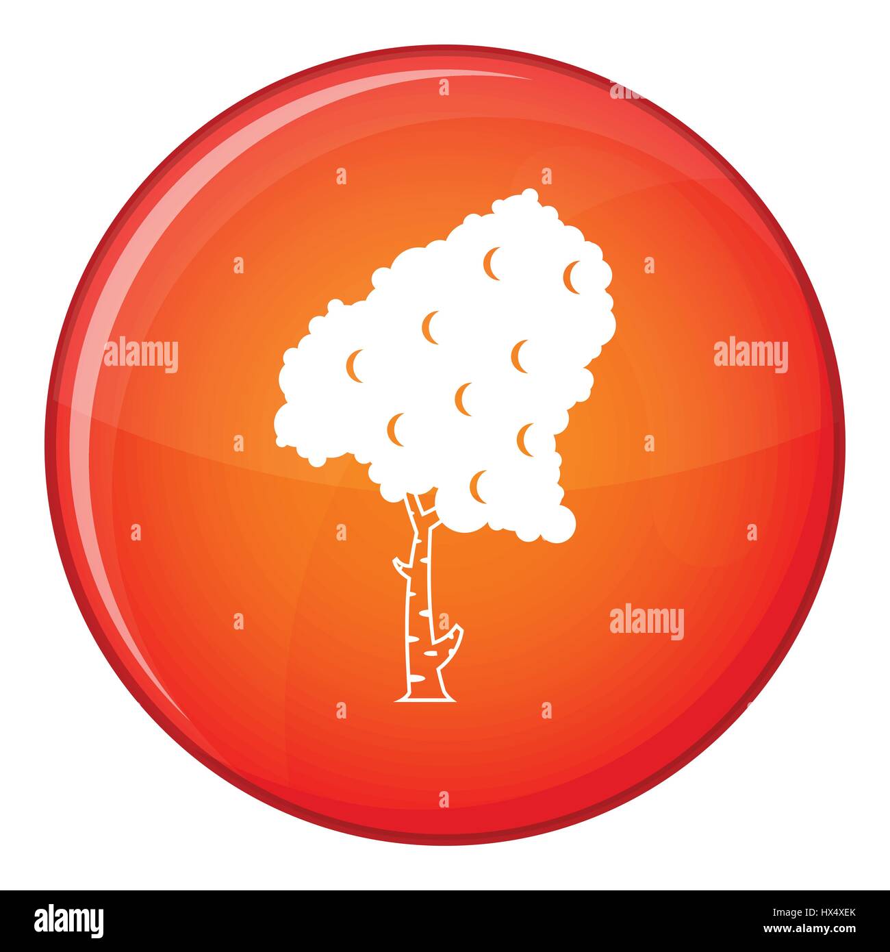 Birch icon, flat style Stock Vector Image & Art - Alamy
