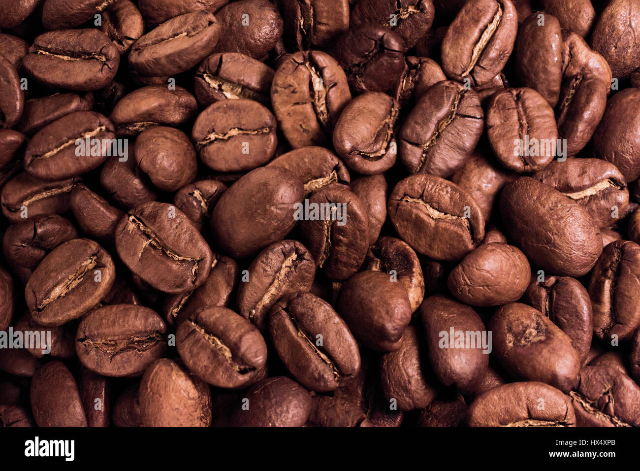 Light Roasted Coffee Beans Stock Photo - Alamy