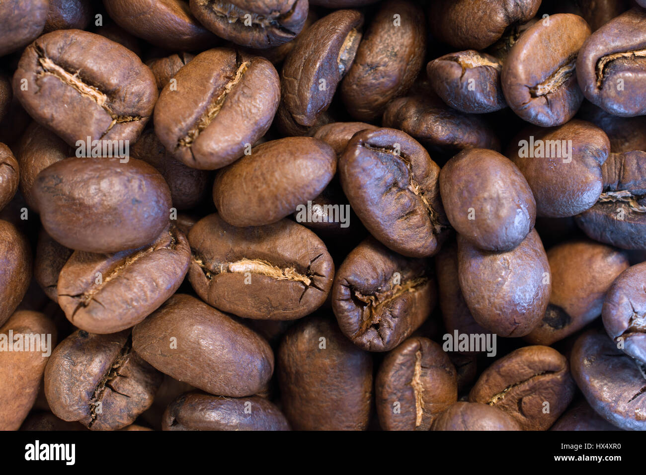 Group of Light Roasted Coffee Beans Stock Photo - Alamy