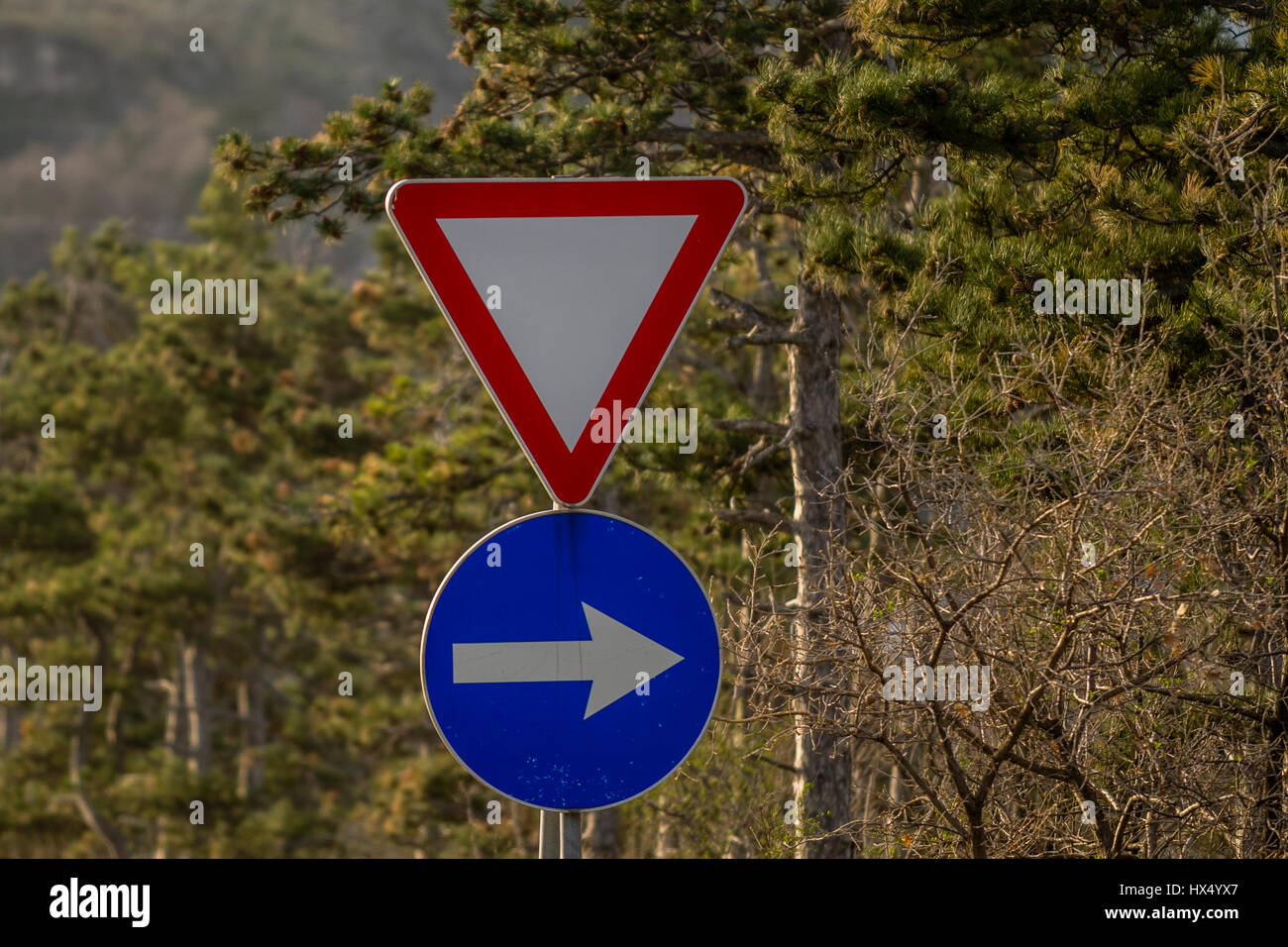 Road sign give way and turn right Stock Photo - Alamy