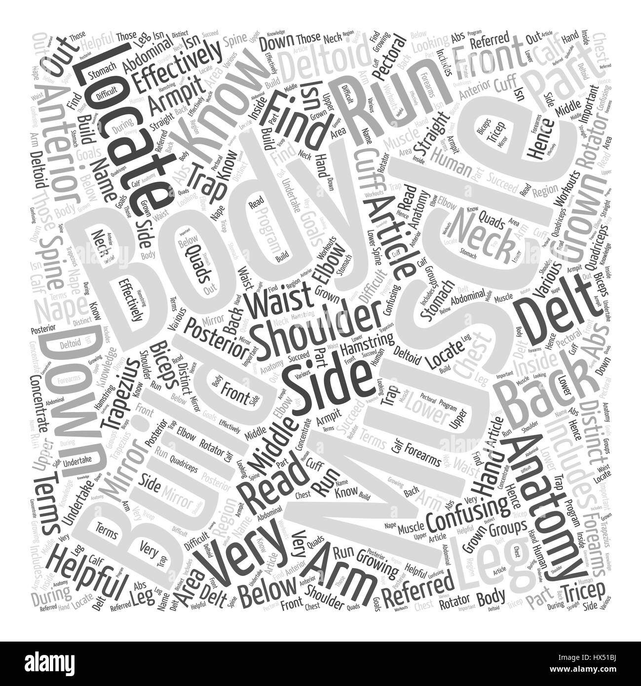 Anatomy Word Cloud Concept Stock Photos & Anatomy Word Cloud Concept ...