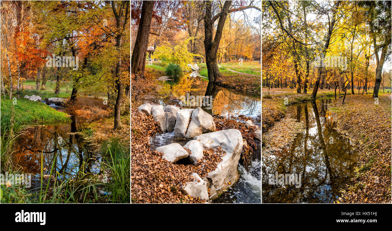Beautiful autumnal meadow in forest at daylight. Bright colored fall ...