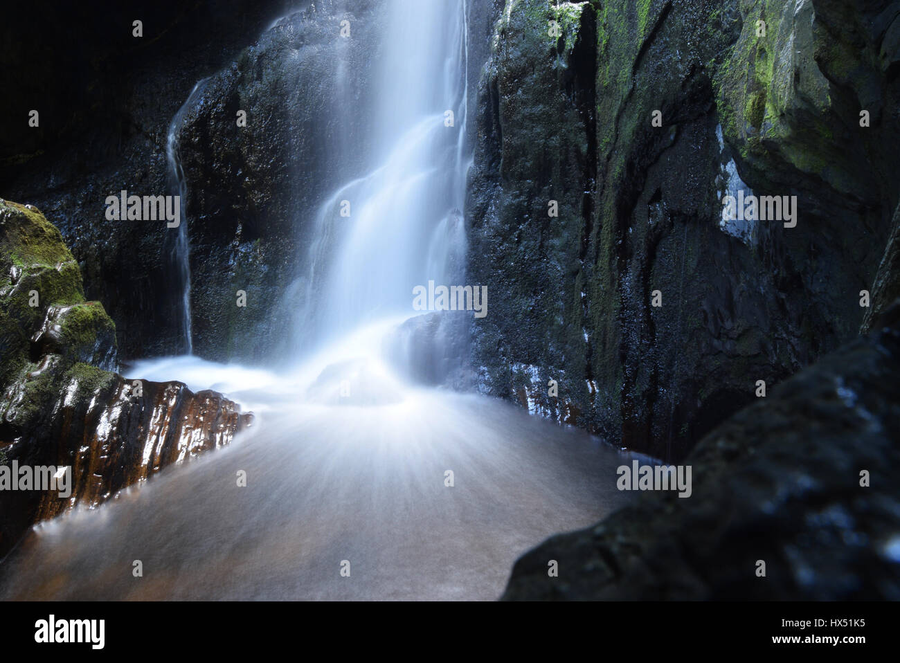 Jaw-dropping waterfall discovered within the depths of the Hafod Estate ...