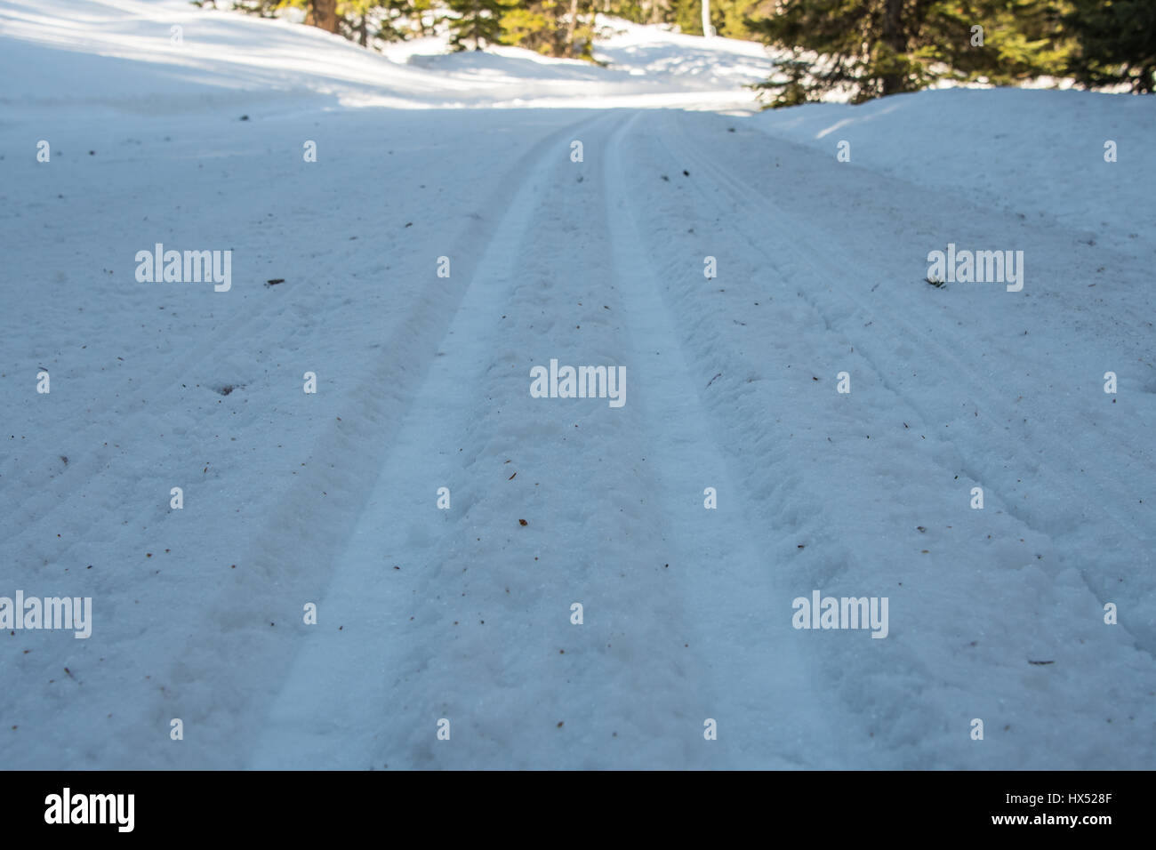Looking Down Cross Country Skiing Tracks in the shadows Stock Photo - Alamy
