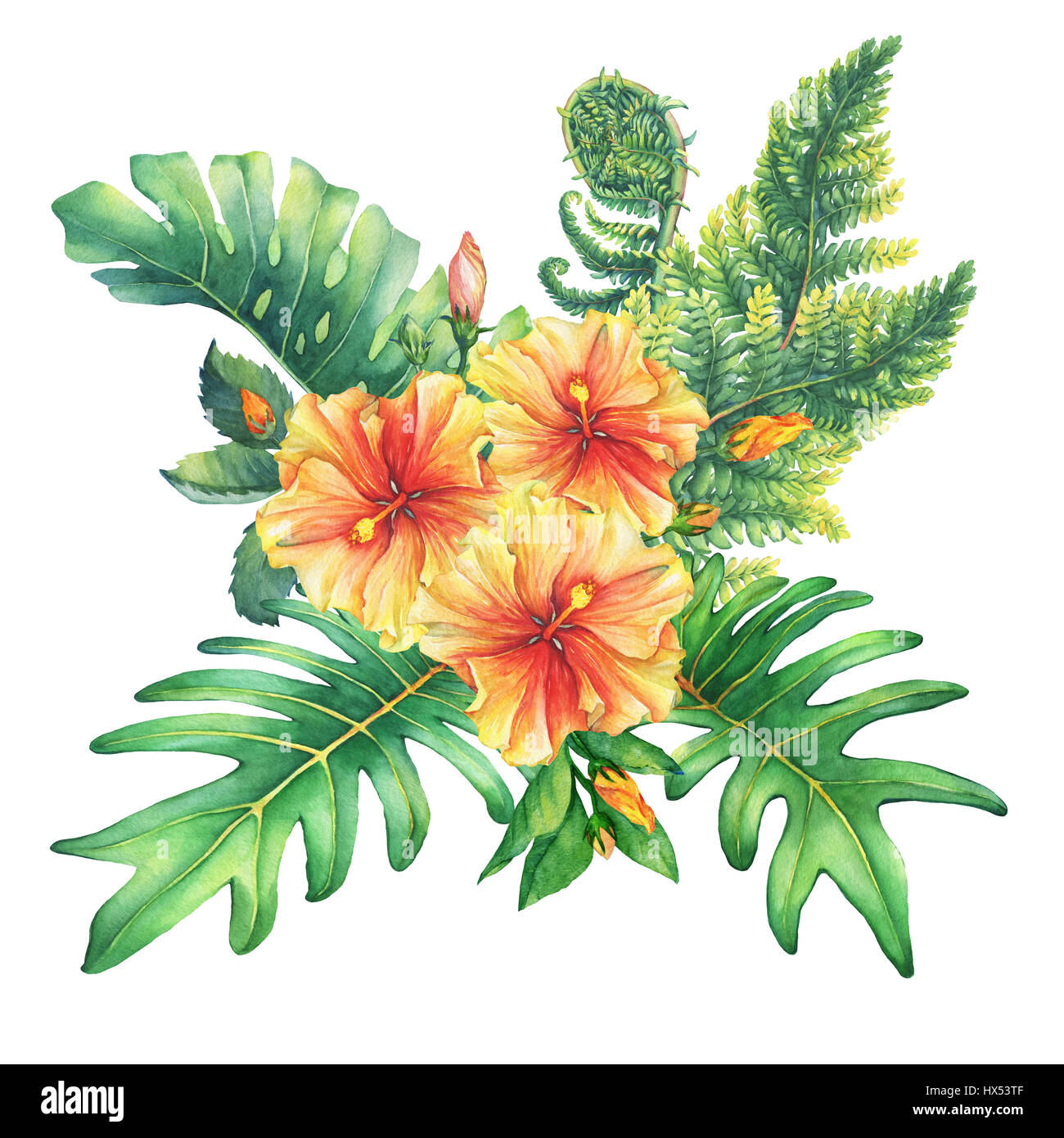 Tropical leaves flowers monstera Cut Out Stock Images & Pictures - Alamy