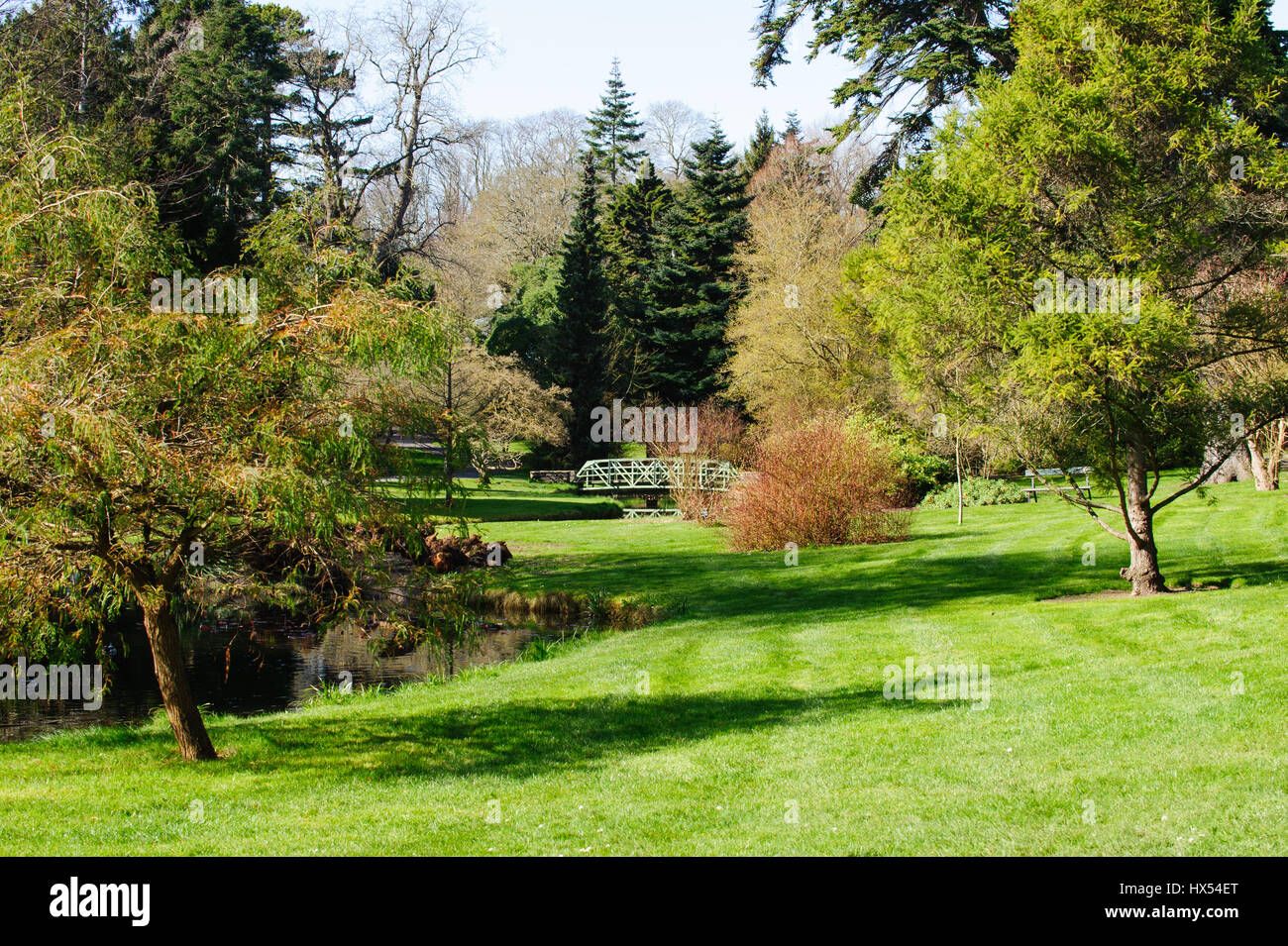 Dublin, Ireland- March 15, 2017. beautiful landscape in Botanical ...