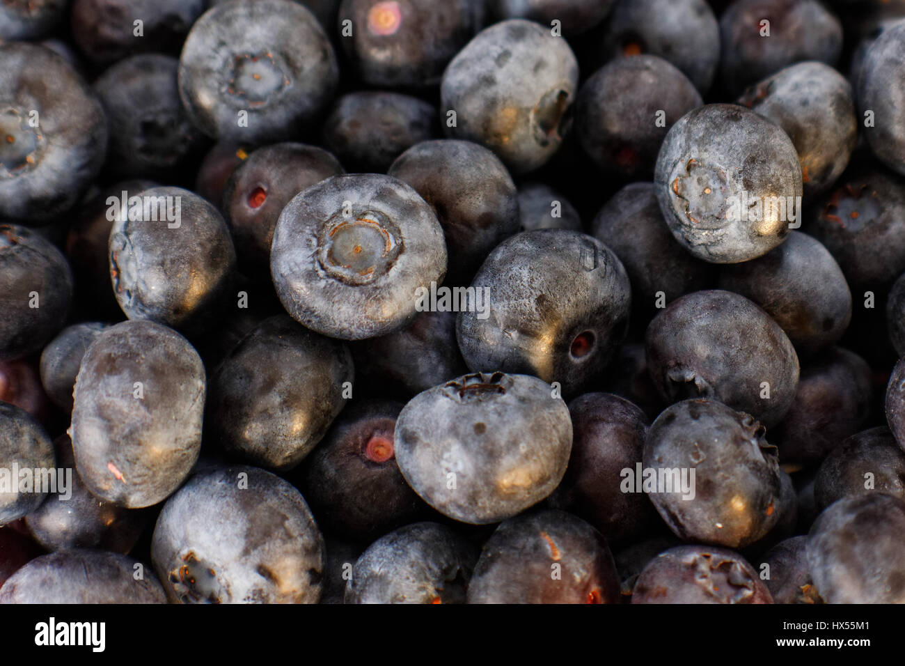Fresh summer blueberries hi-res stock photography and images - Alamy