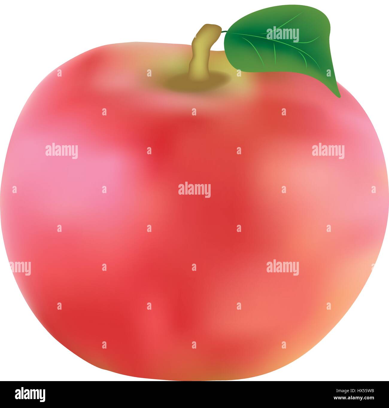 Group of apples close up Stock Vector Images - Alamy