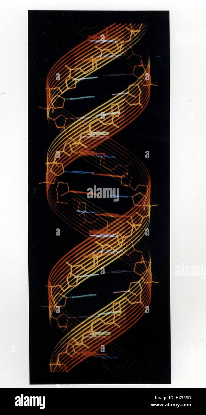 Double Stranded Helix High Resolution Stock Photography and Images - Alamy