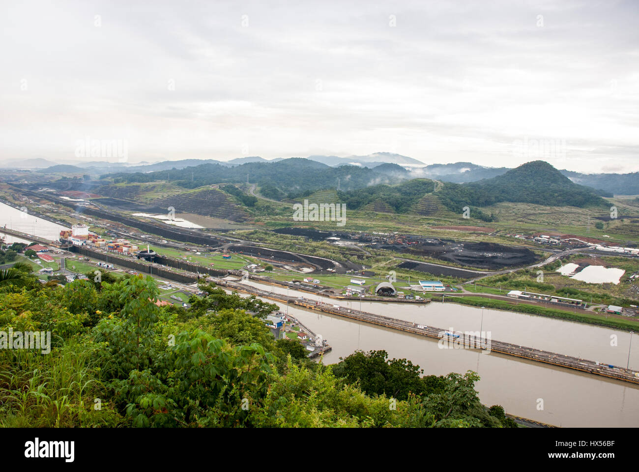 MSC Geneva Cargo Ship - Mediterranean Shipping Company Cargo Ship in ...