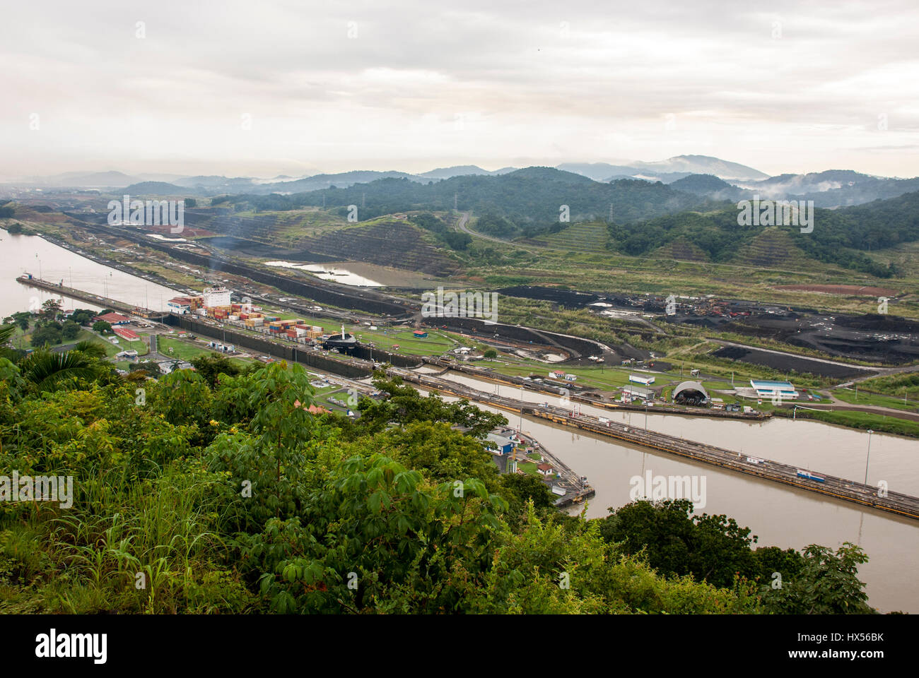 MSC Geneva Cargo Ship - Mediterranean Shipping Company Cargo Ship in ...