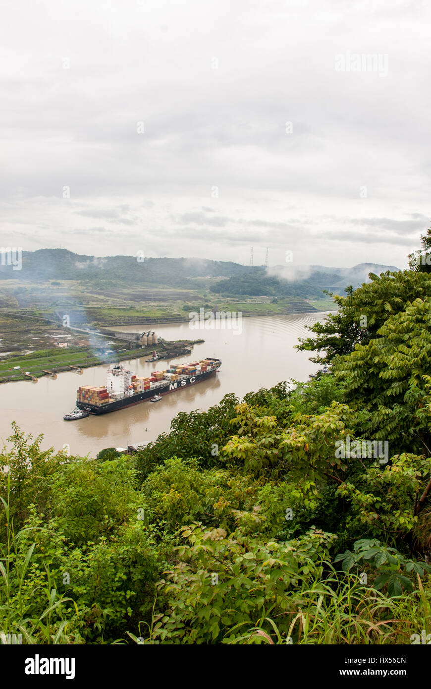 MSC Geneva Cargo Ship - Mediterranean Shipping Company Cargo Ship in ...