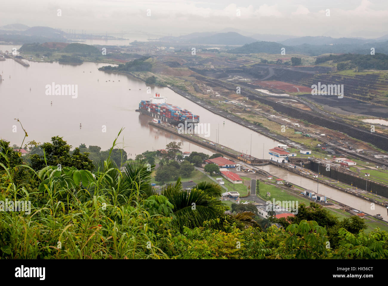MSC Geneva Cargo Ship - Mediterranean Shipping Company Cargo Ship in ...