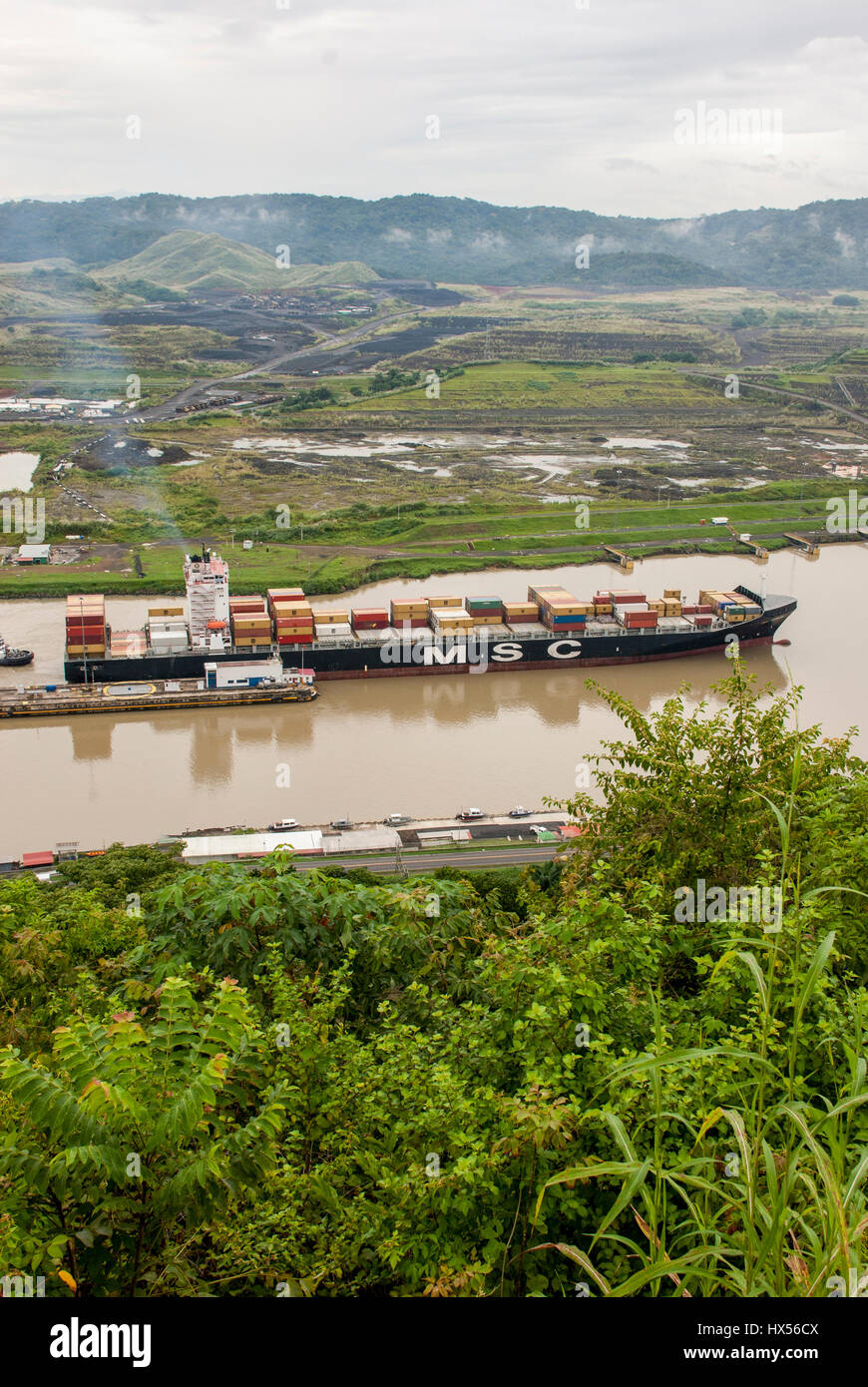 MSC Geneva Cargo Ship - Mediterranean Shipping Company Cargo Ship in ...