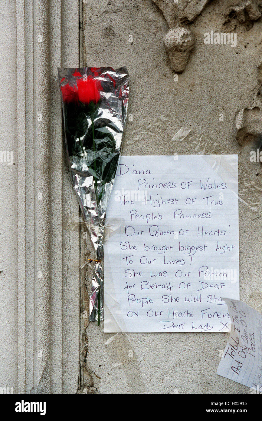 SINGLE ROSE FOR DIANA OUTSIDE BUCKINGHAM PALACE 14 September 1998 Stock ...