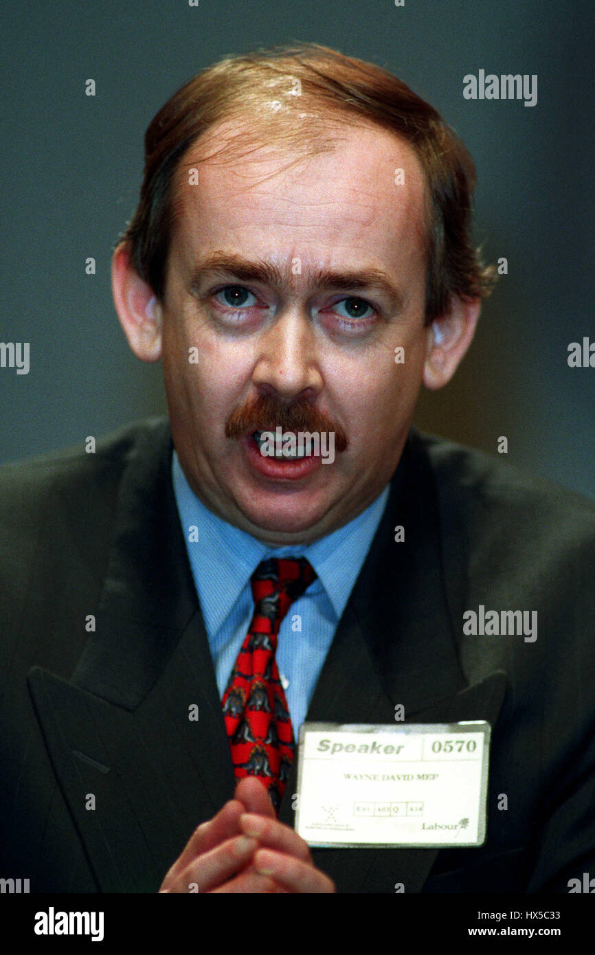 WAYNE DAVID LABOUR MEP SOUTH WALES 08 February 1994 Stock Photo - Alamy