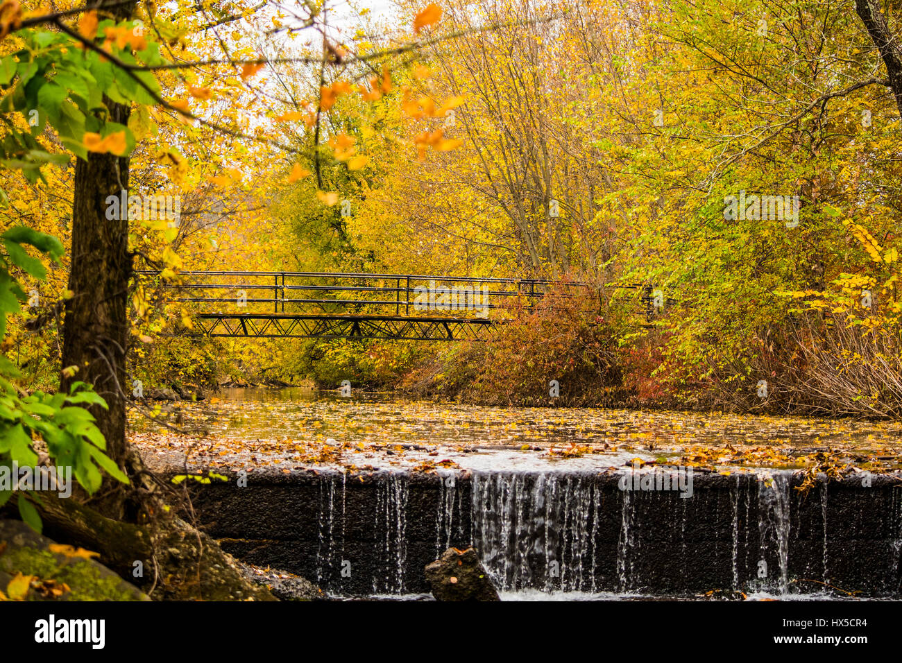 Dam and fall colors Stock Photo - Alamy