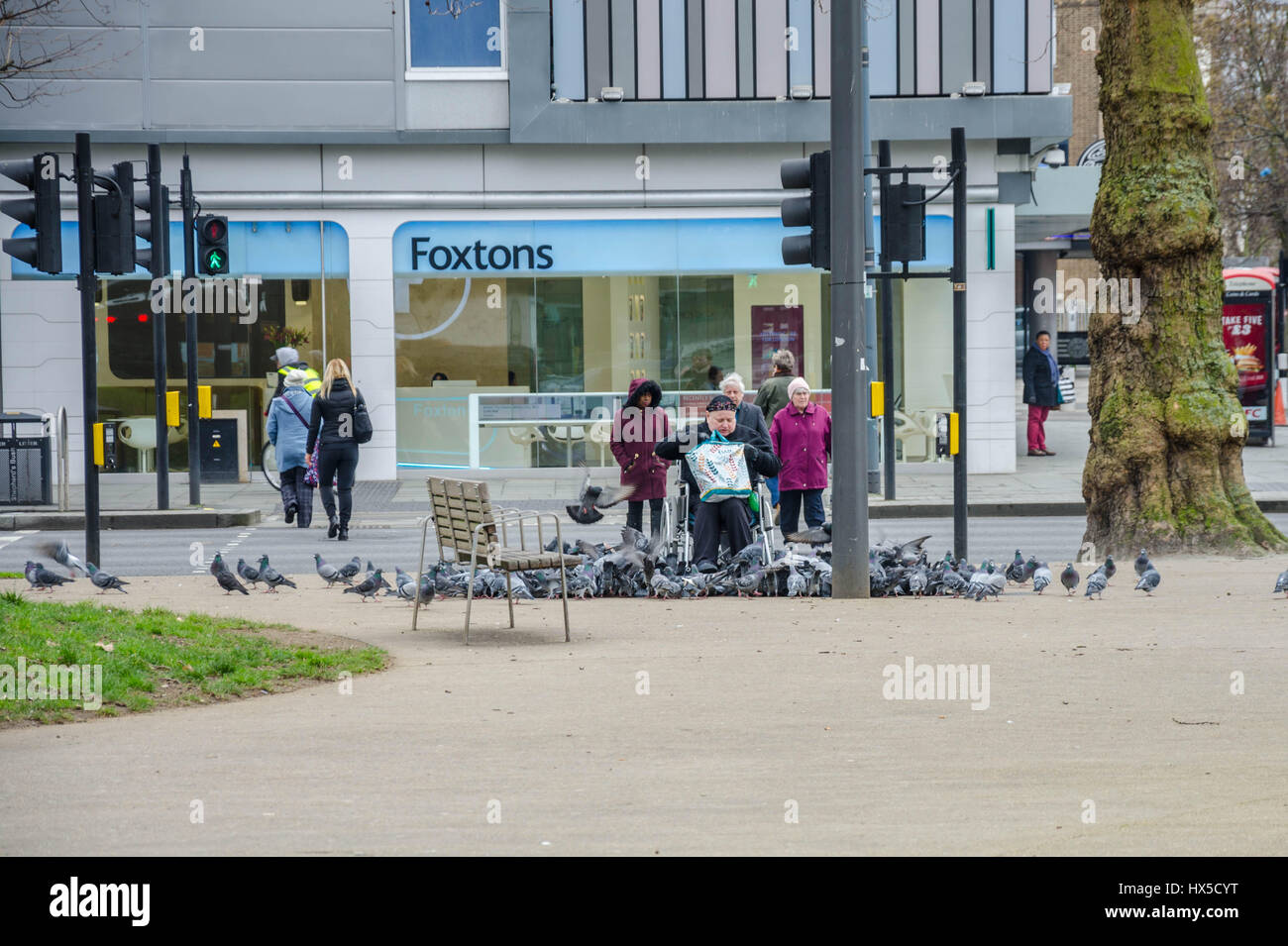 A lady in a wheelchair feeds the pigeons on Shepherds Bush Common ...