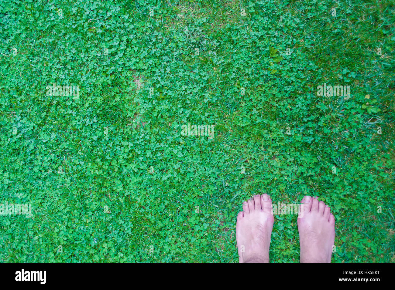 Top view of feet on green grass Stock Photo - Alamy