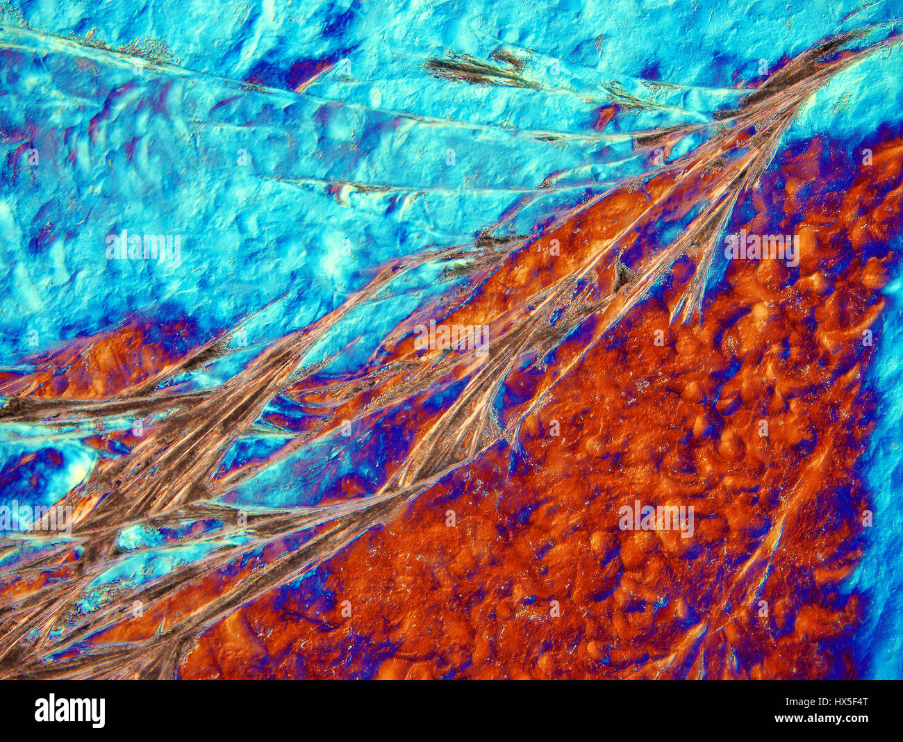 Urea crystals hi-res stock photography and images - Alamy
