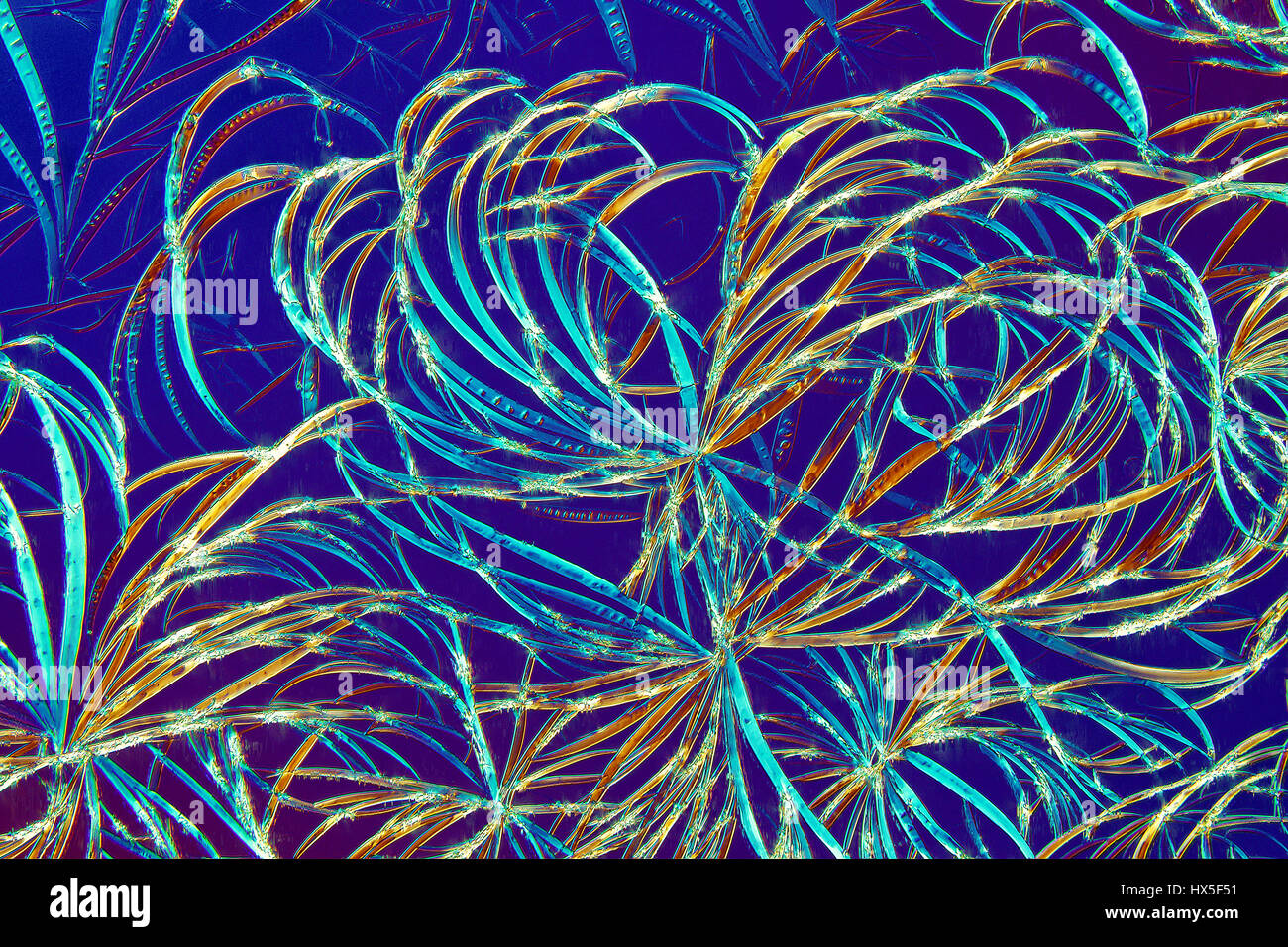 Salicylate hi-res stock photography and images - Alamy