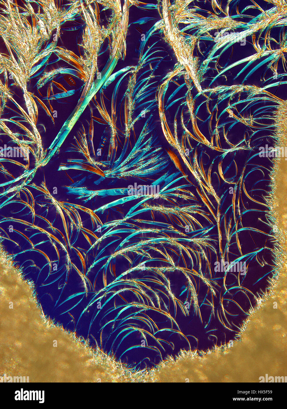 Microscopy crystal hi-res stock photography and images - Alamy