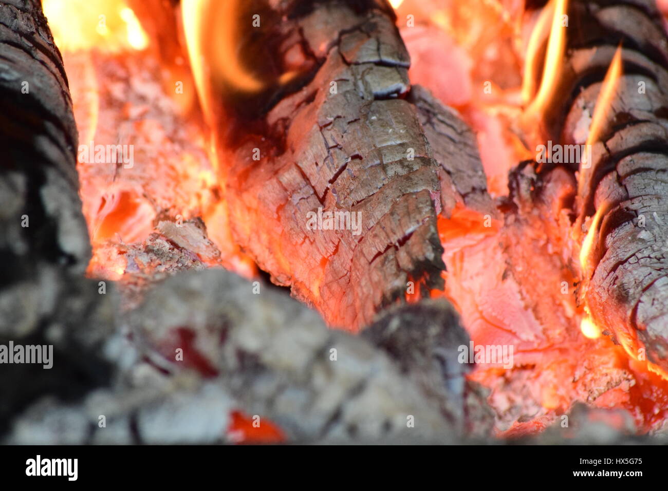 Hot coals in the stove. Red burned by heating the particles tree Stock ...
