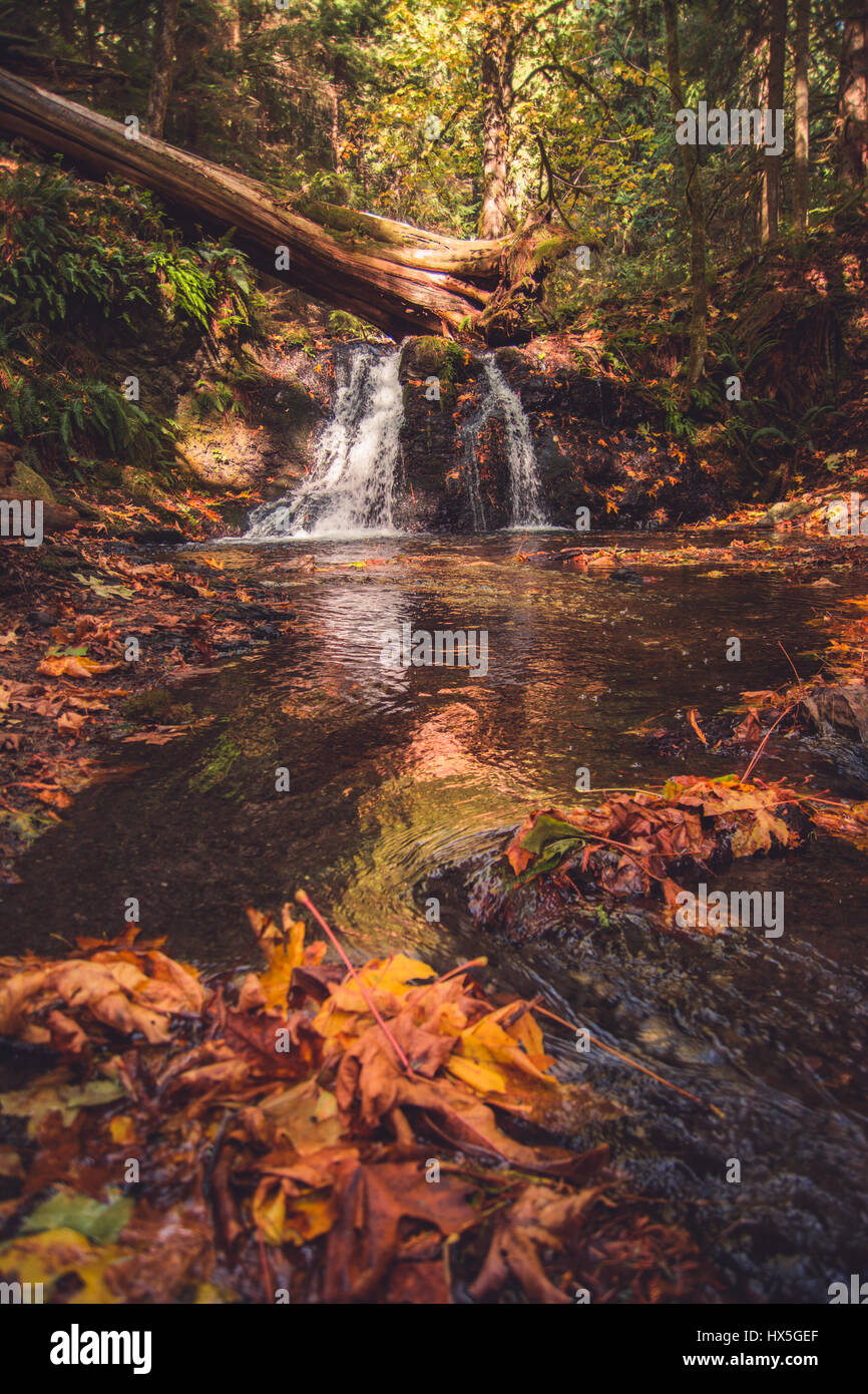 Autumn in the Pacific Northwest of the United States. Colorful Fall ...