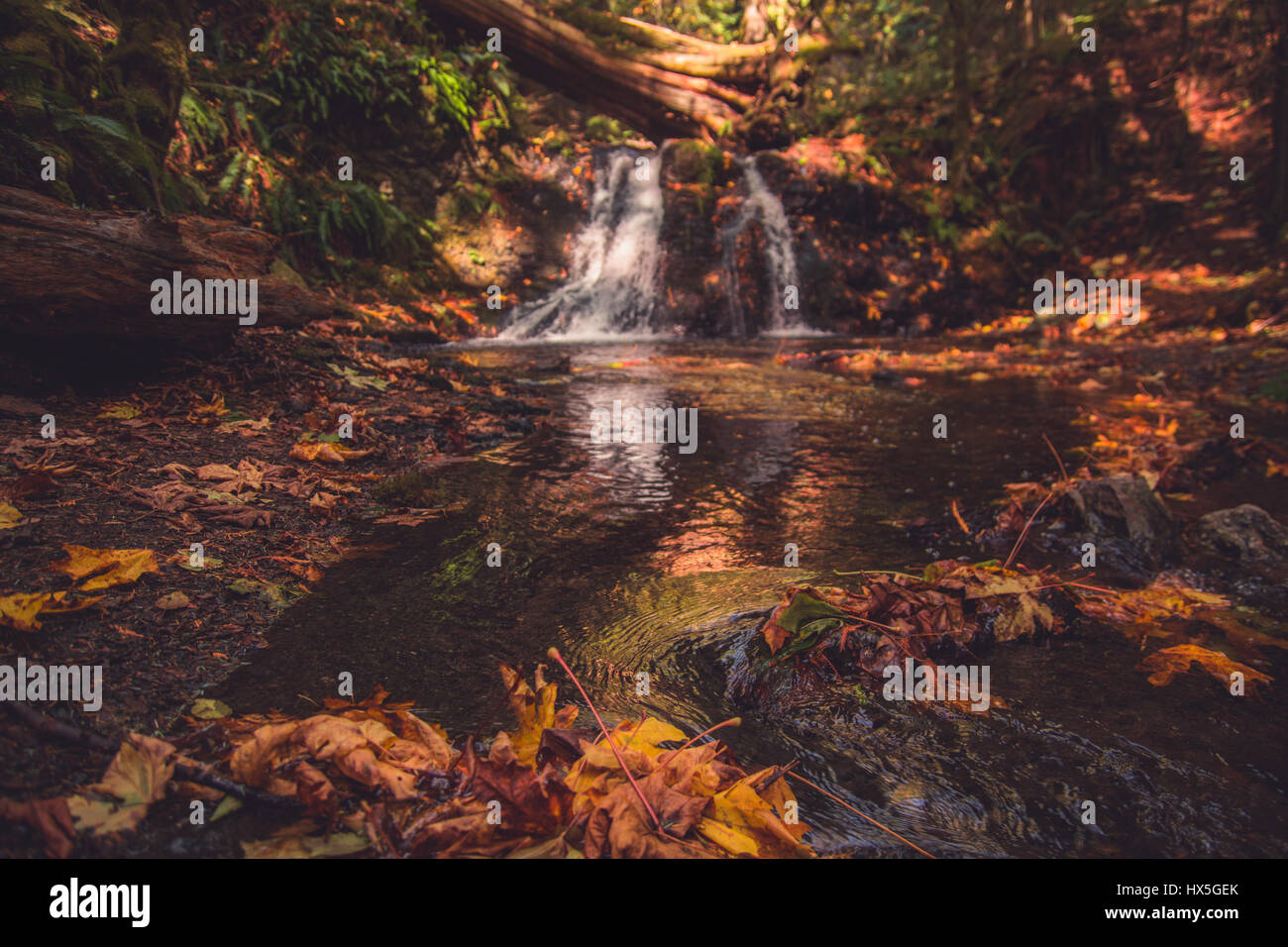 Autumn in the Pacific Northwest of the United States. Colorful Fall ...