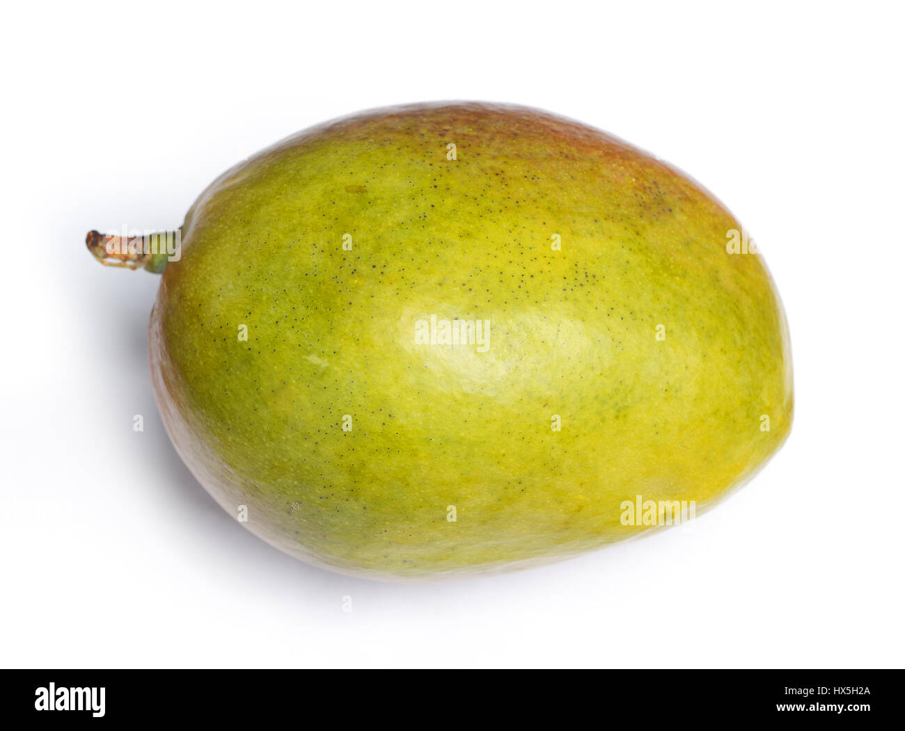 Mango isolated on white background Stock Photo - Alamy